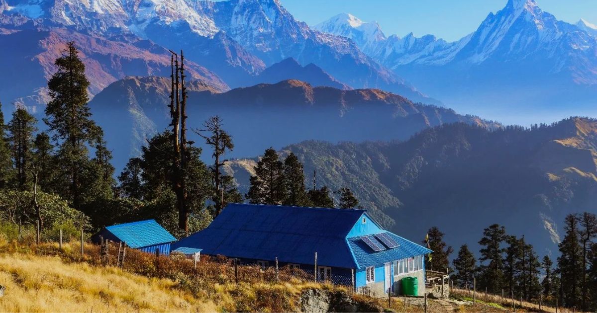 हिमाल हेर्न कोखेडाँडा - Nepal Profit